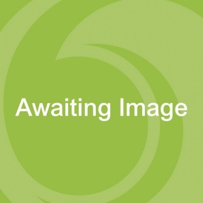 Georgia Fisher, Director at Begbies Traynor High Wycombe - Begbies ...